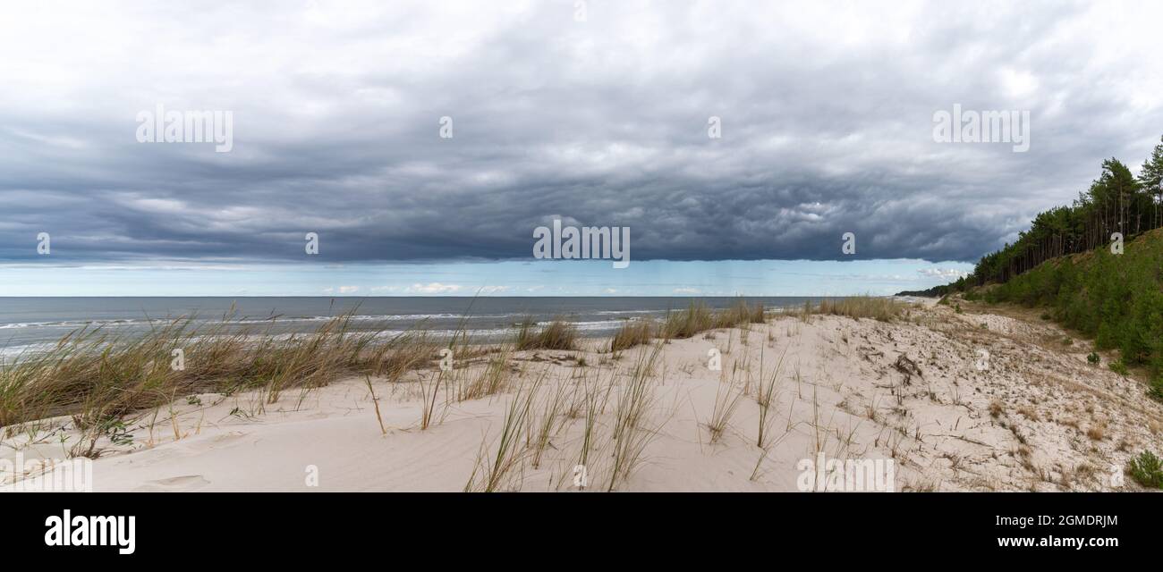 Endless pristine empty sand beaches with forest and sand dunes on the ...