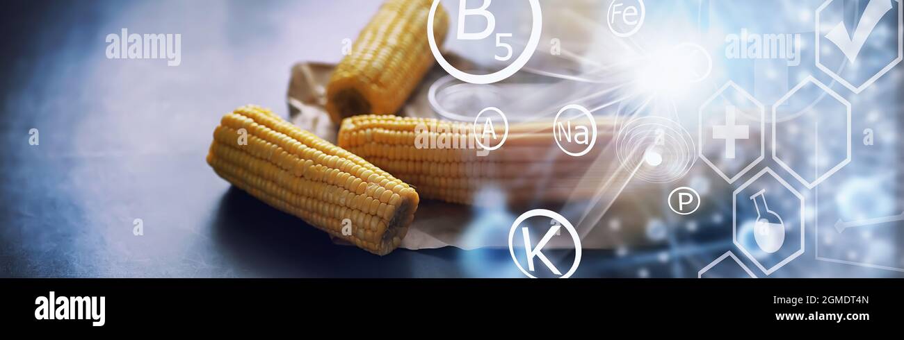 Freshly made fragrant ear of corn with salt. Farm snack fresh corn ...