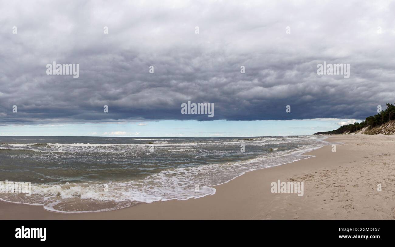 Endless pristine empty sand beaches with forest and sand dunes on the ...