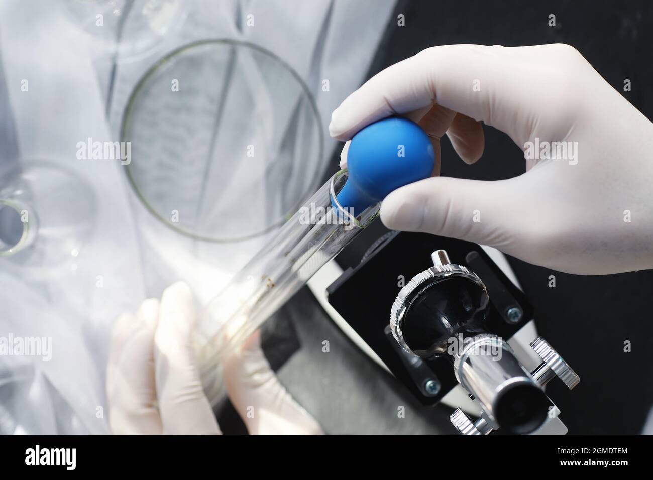 Laboratory research. Drug testing. Chemical experiments in the ...