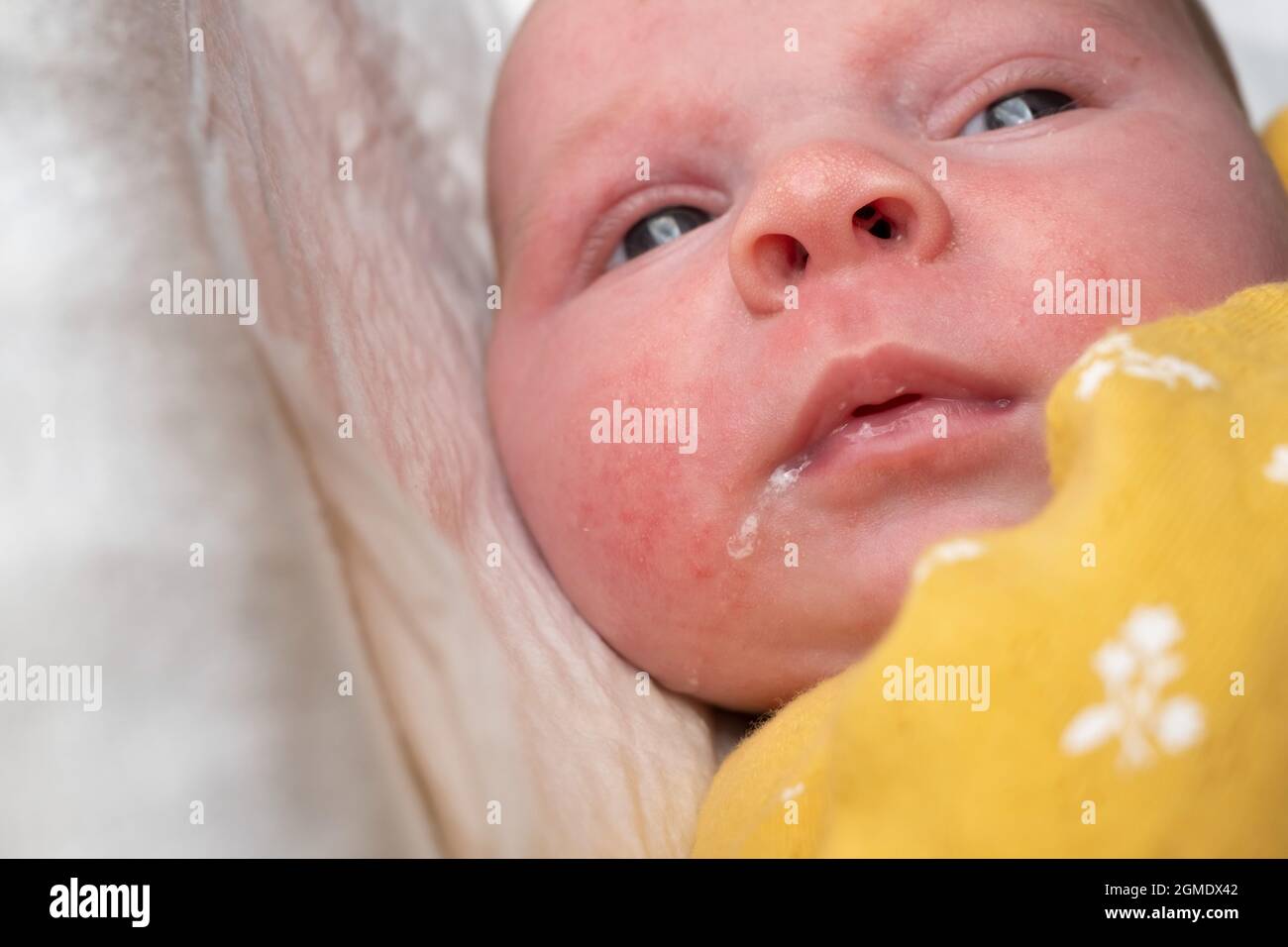 Newborn baby girl drooling close-up on white background Stock Photo - Alamy