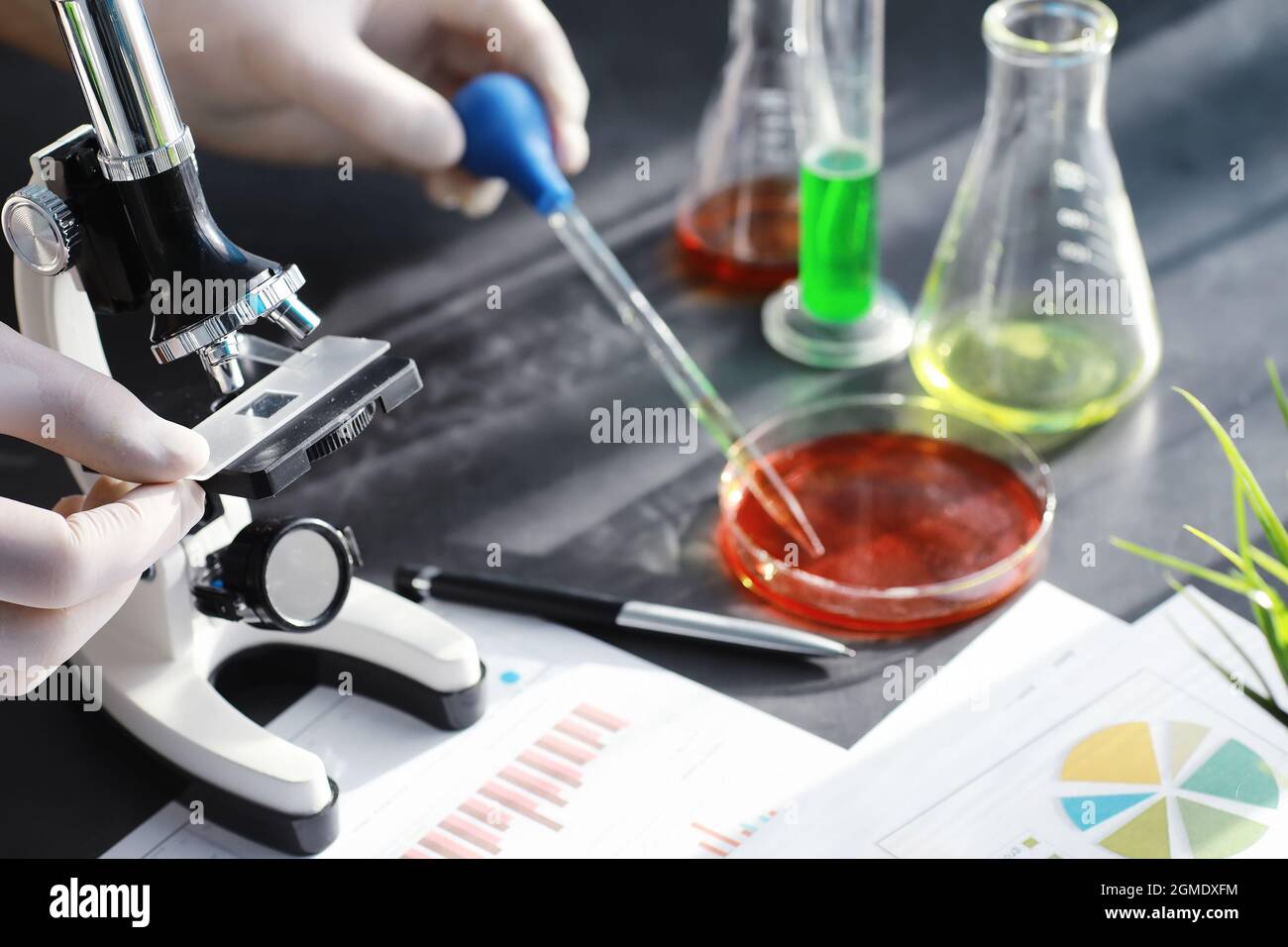 Laboratory research. Drug testing. Chemical experiments in the ...