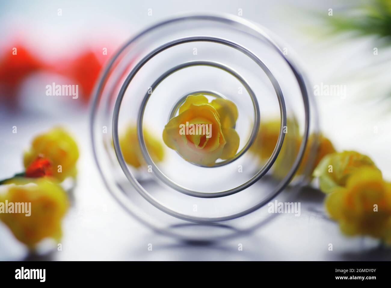 Metal spiral. The concept endless turns. Golden ratio. The concept of ...