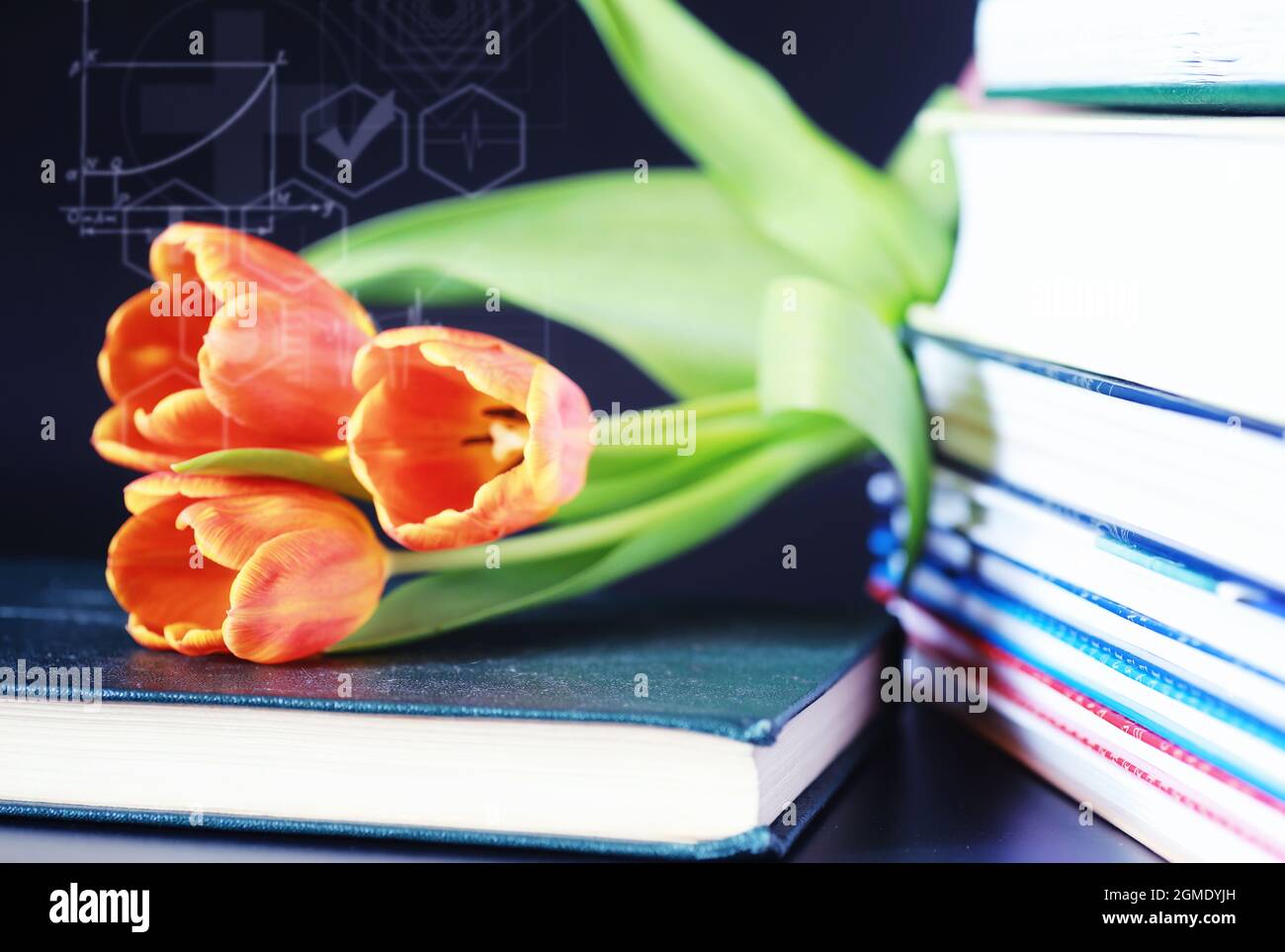 Chemistry laboratory formul hi-res stock photography and images - Alamy
