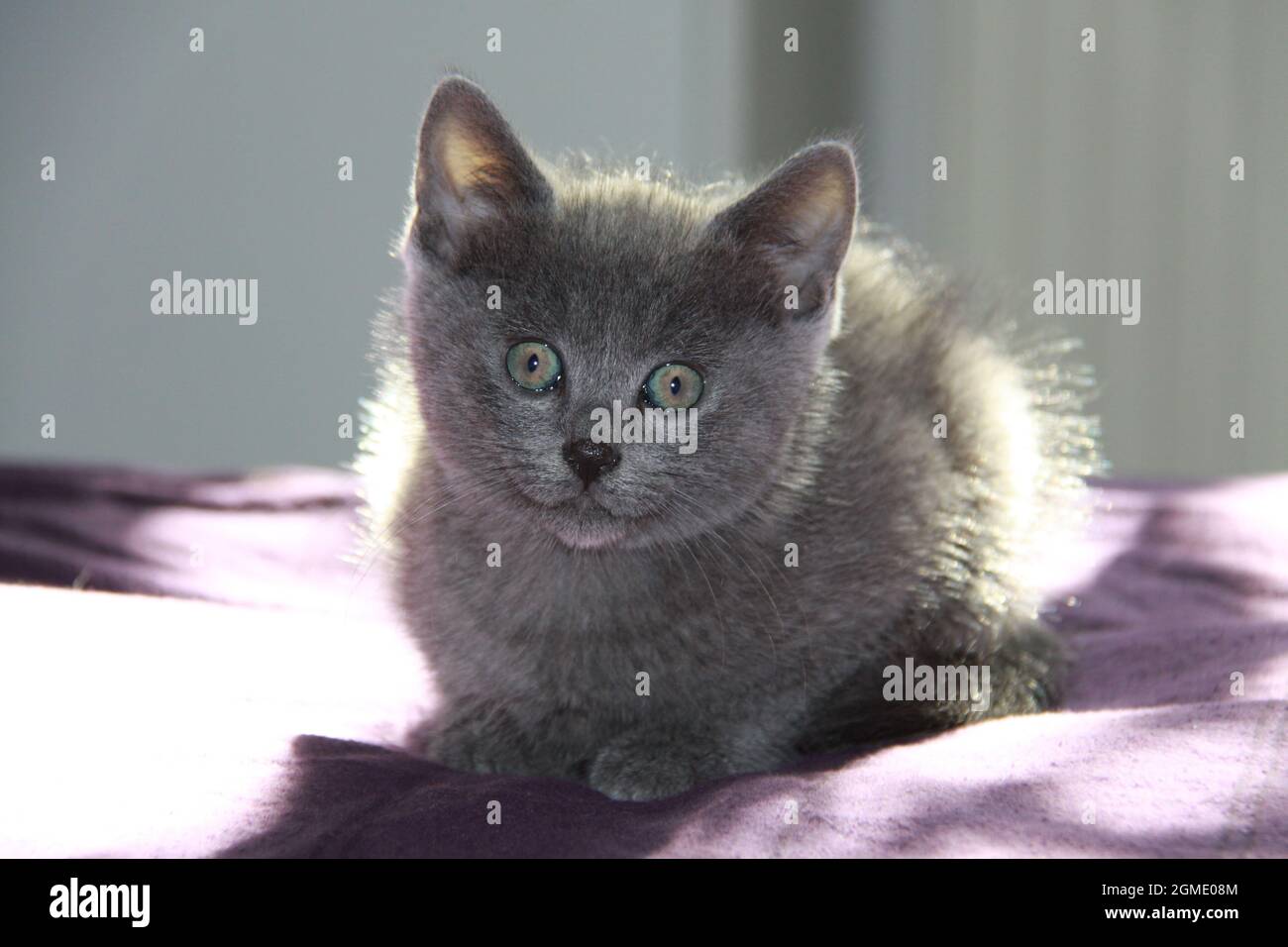 Bkh hi-res stock photography and images - Alamy