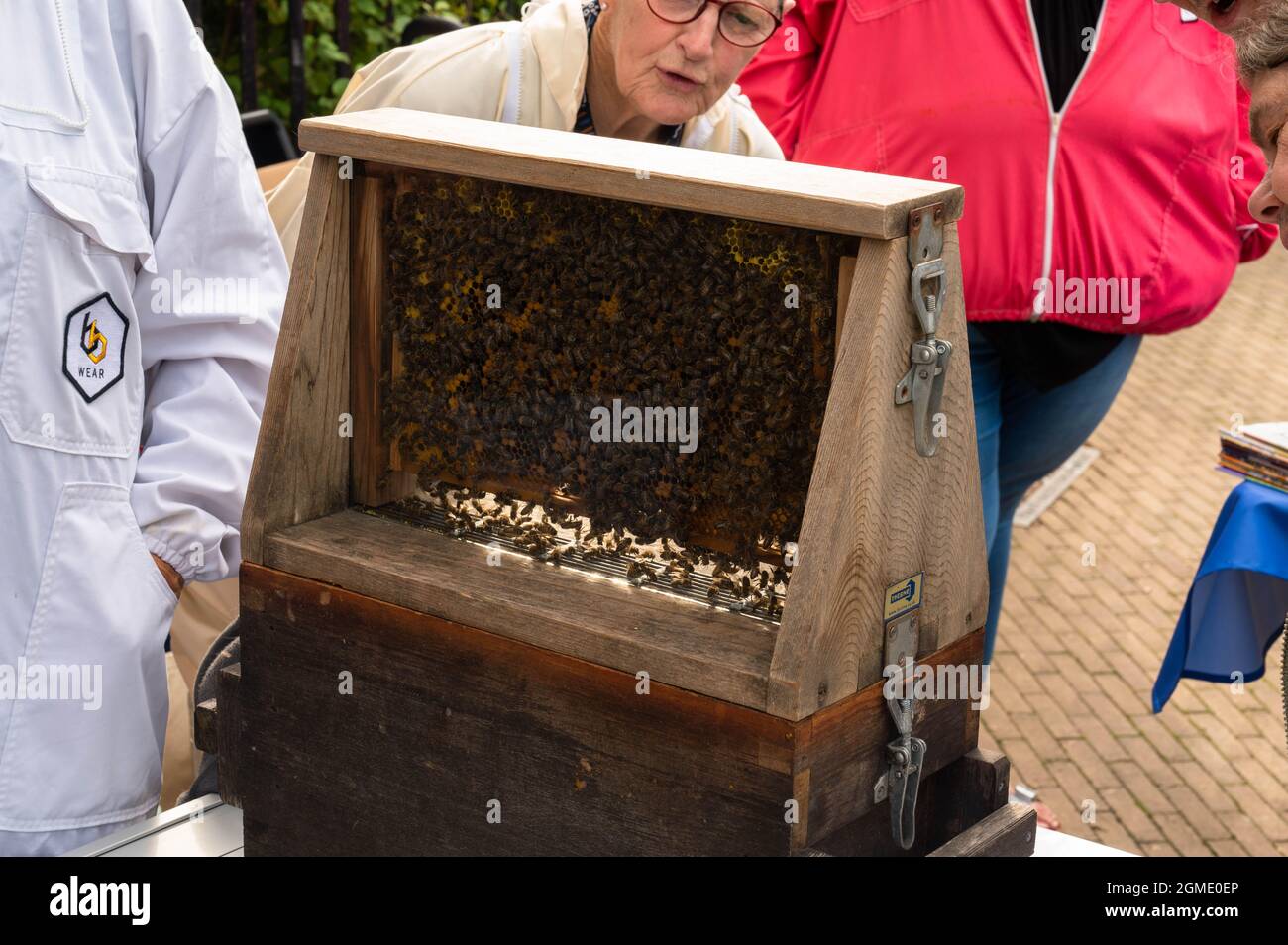 Inside apiary hi-res stock photography and images - Alamy