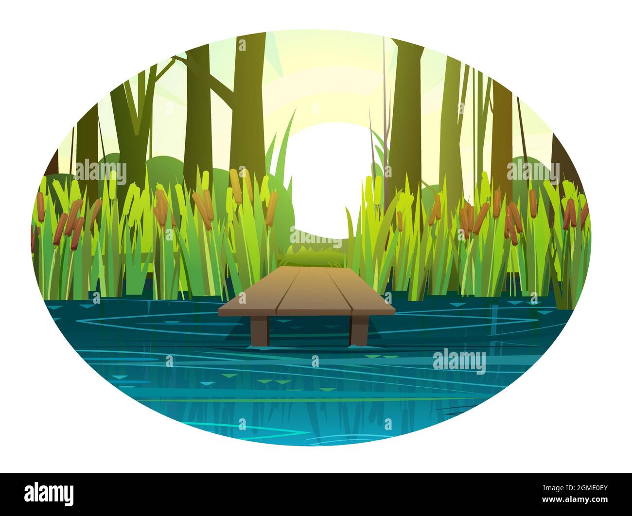 Green forest swamp in Cut Out Stock Images & Pictures - Alamy