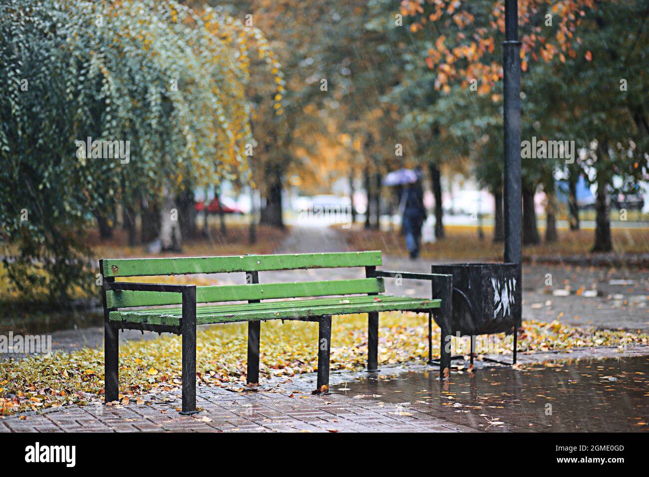 Autumn rain in the park during the day Stock Photo - Alamy