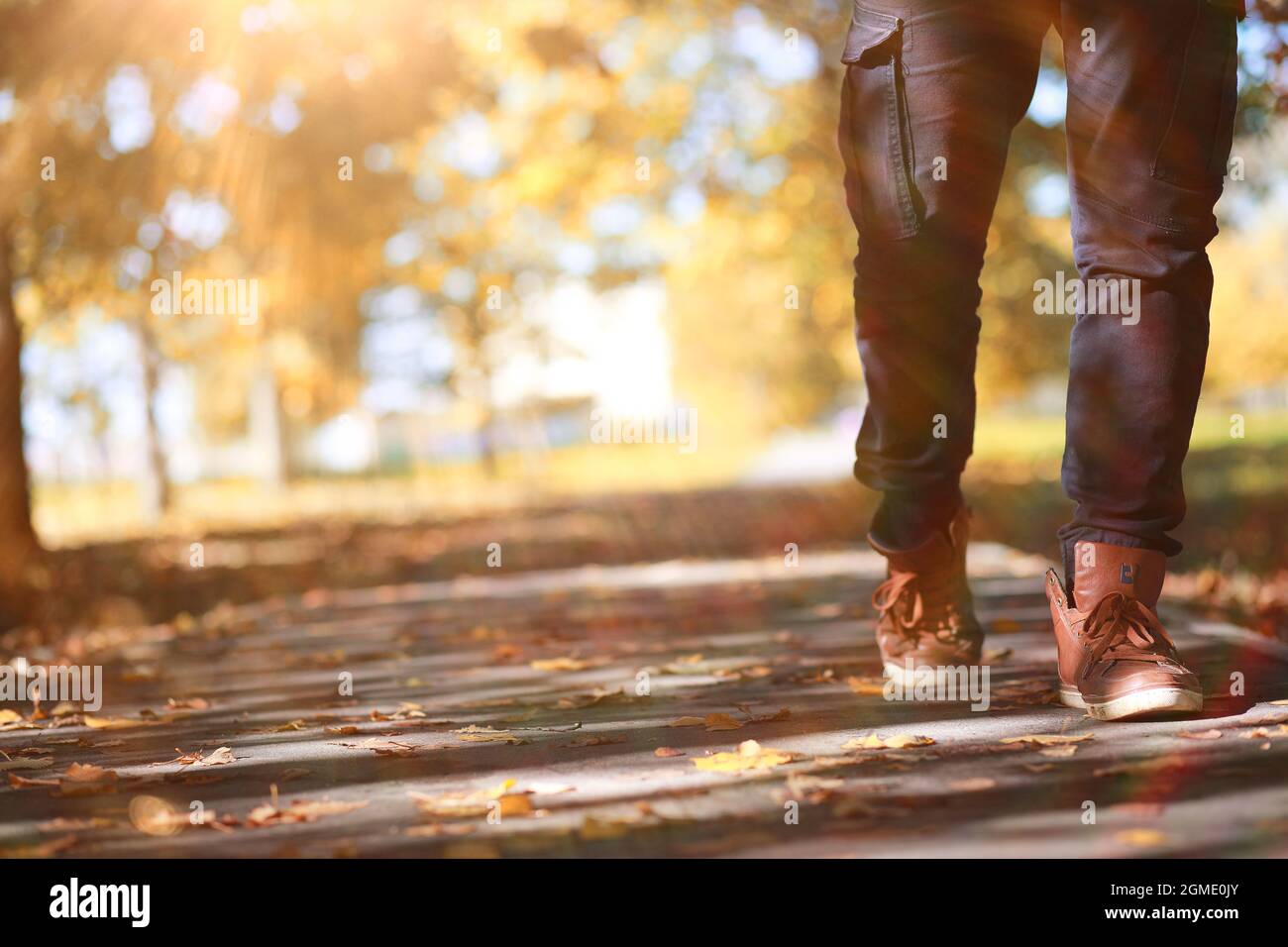 Autumn Park man walking along a path foliage Stock Photo - Alamy
