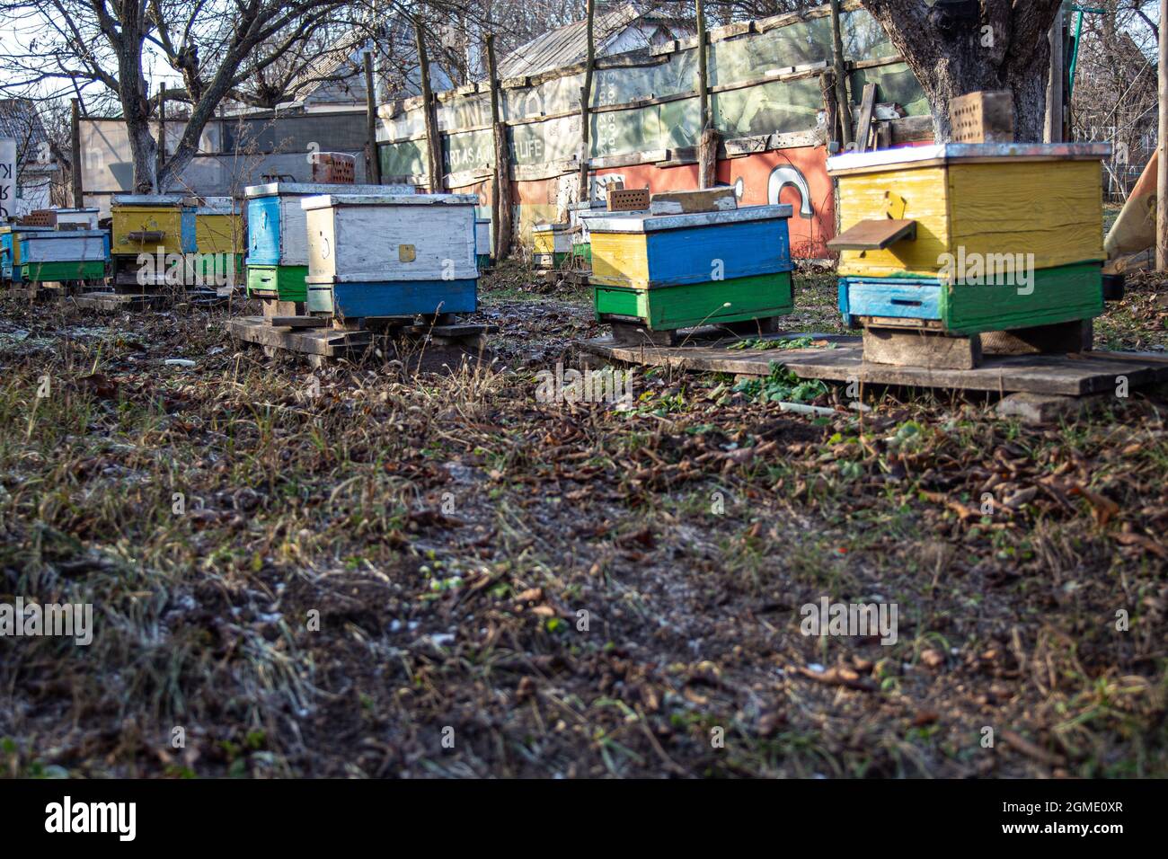 Preparing bees for wintering. Hives on apiary in December in Europe ...