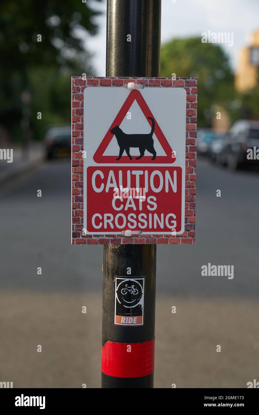 Cats crossing the road hi-res stock photography and images - Alamy