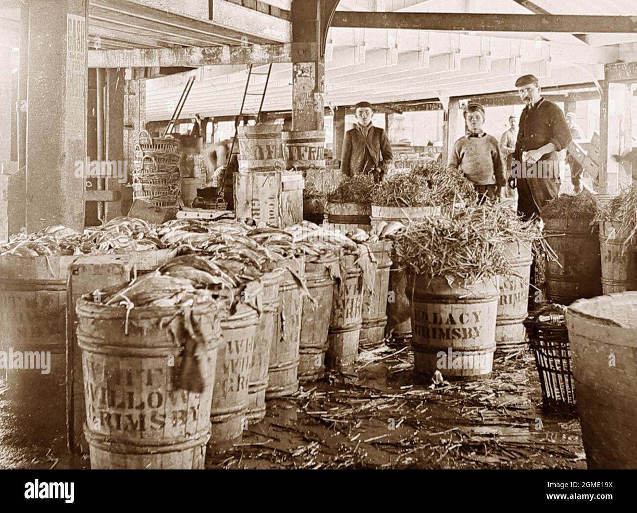 Fish packing shed, Grimsby, Victorian period Stock Photo - Alamy