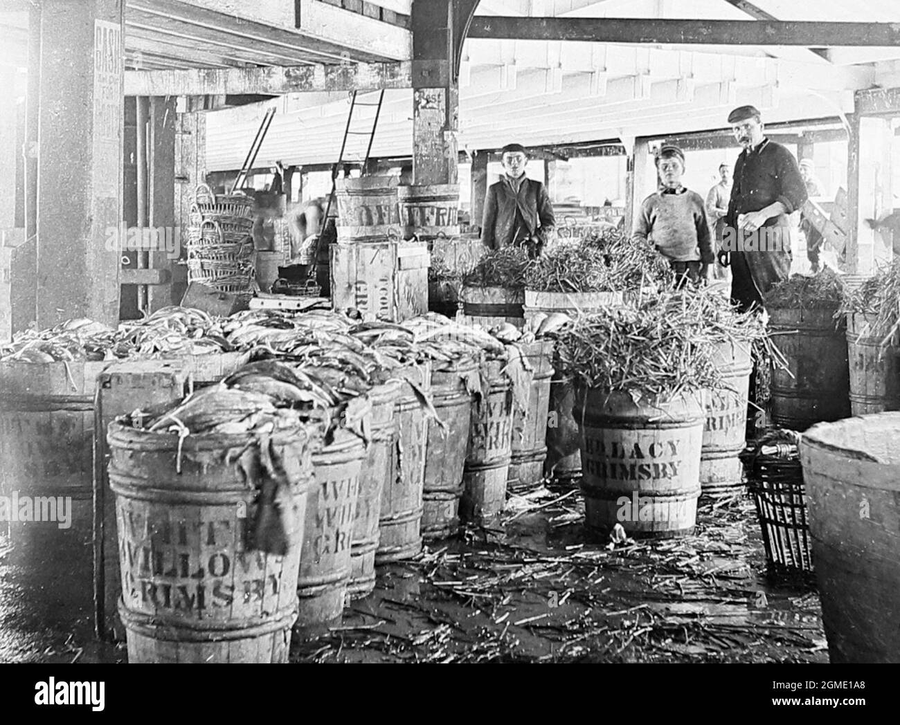 Fish packing shed, Grimsby, Victorian period Stock Photo - Alamy