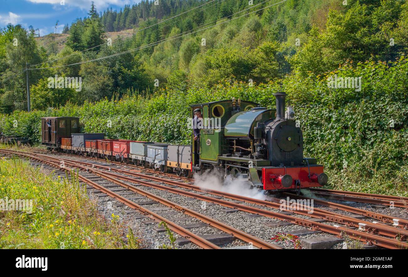Loco No 4 Edward Thomas with a slate wagon train on The Corris Railway ...