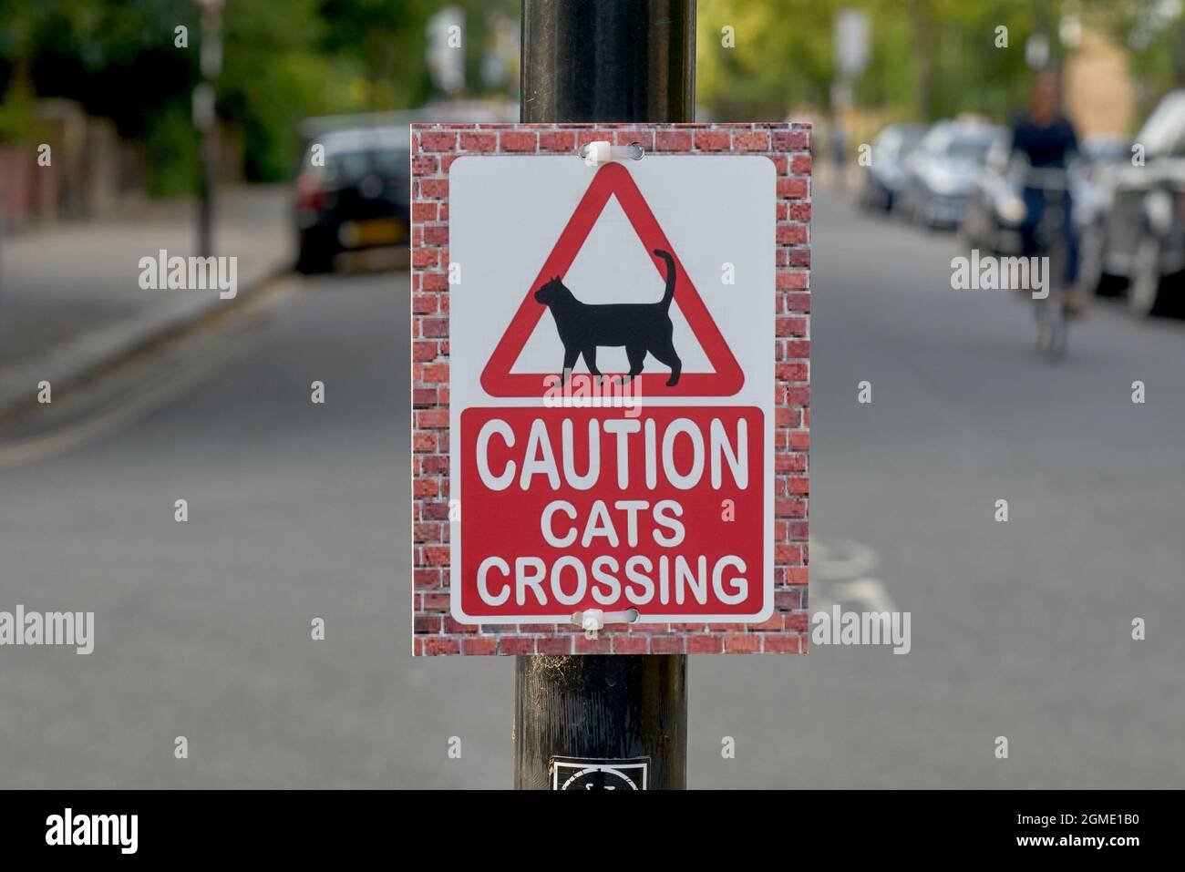 Cat crossing hi-res stock photography and images - Alamy