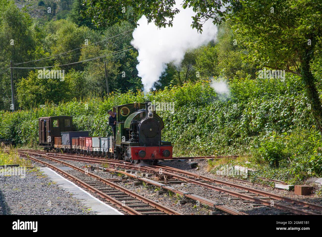 Loco No 4 Edward Thomas with a slate wagon train on The Corris Railway ...