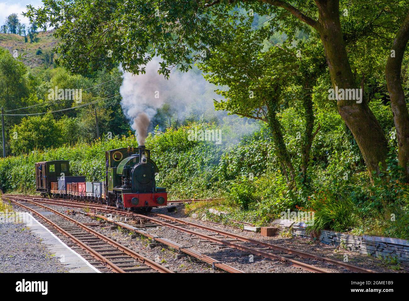 Loco No 4 Edward Thomas with a slate wagon train on The Corris Railway ...