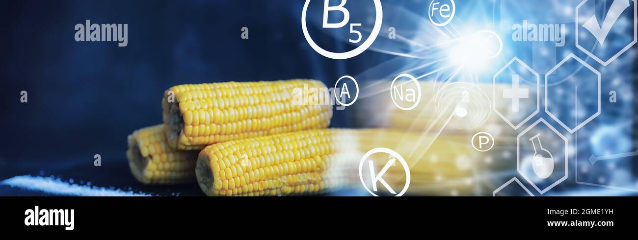 Freshly made fragrant ear of corn with salt. Farm snack fresh corn ...