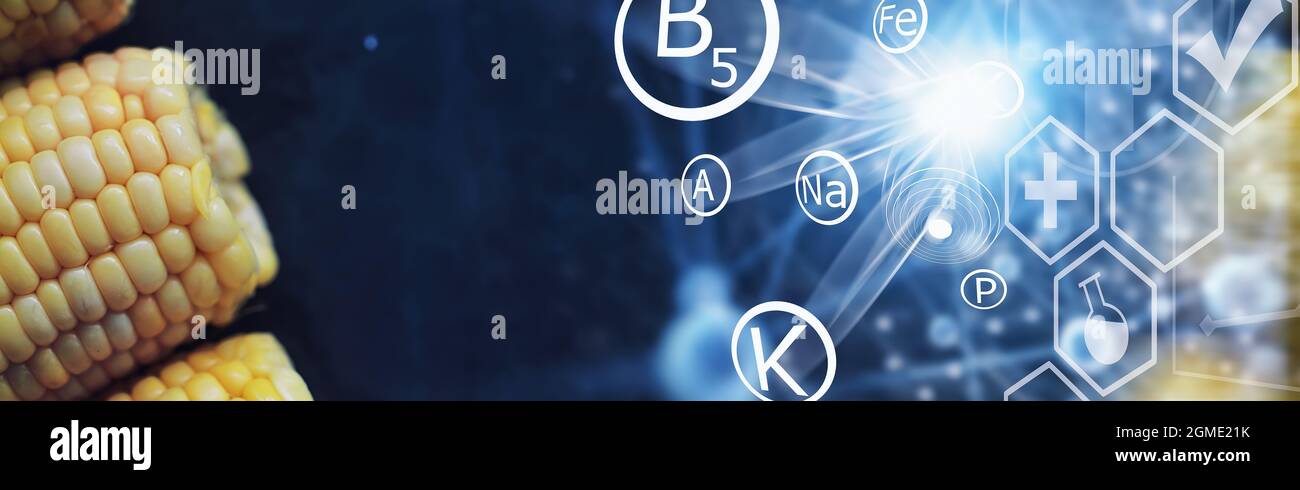 Freshly made fragrant ear of corn with salt. Farm snack fresh corn ...