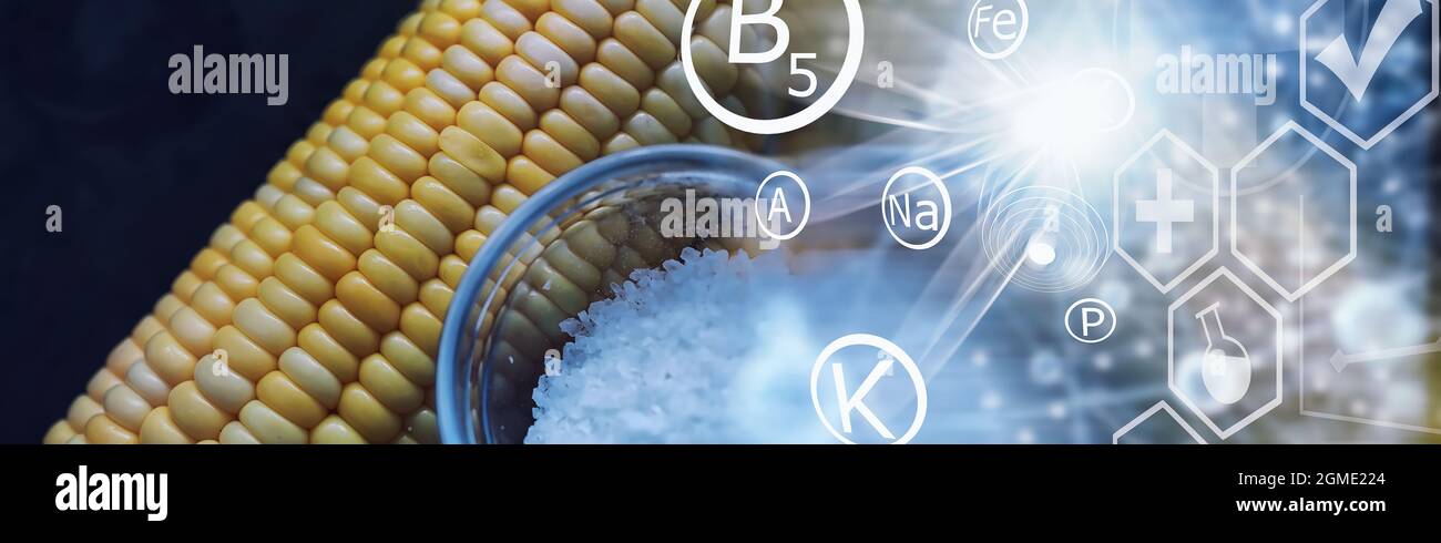 Freshly made fragrant ear of corn with salt. Farm snack fresh corn ...