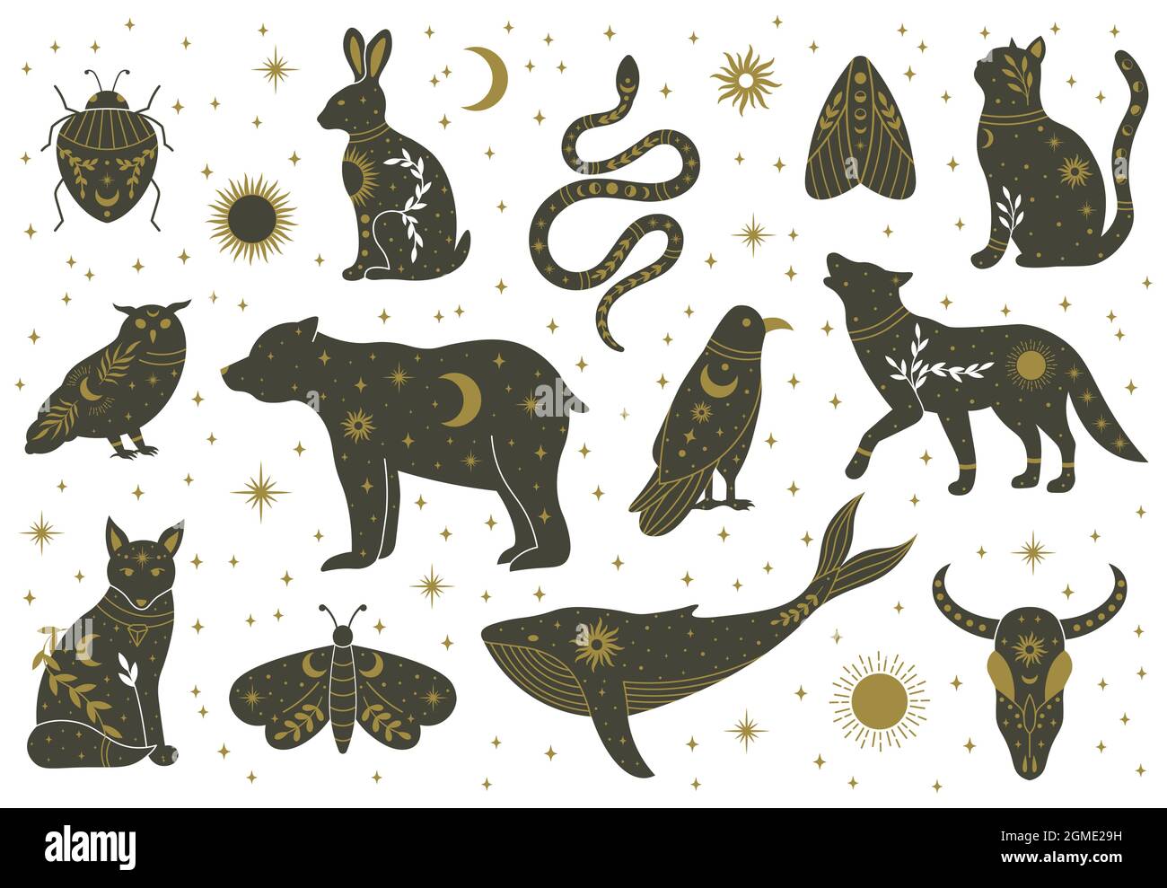 Witchcraft magic mystical boho doodle animals and insects. Magical cat ...