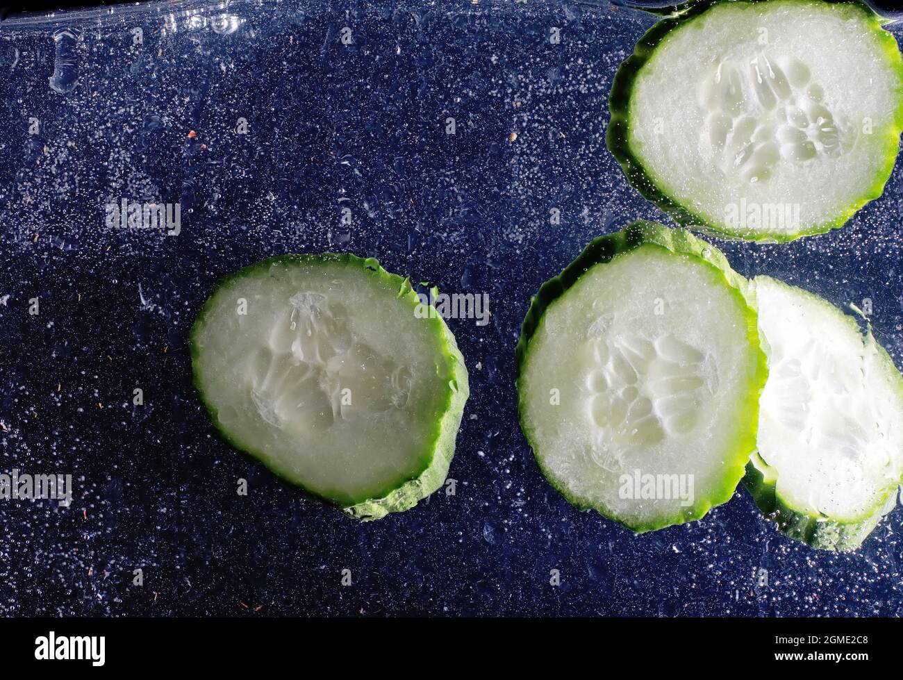 Water drops on ripe cucumber. Fresh vegetables background with copy ...