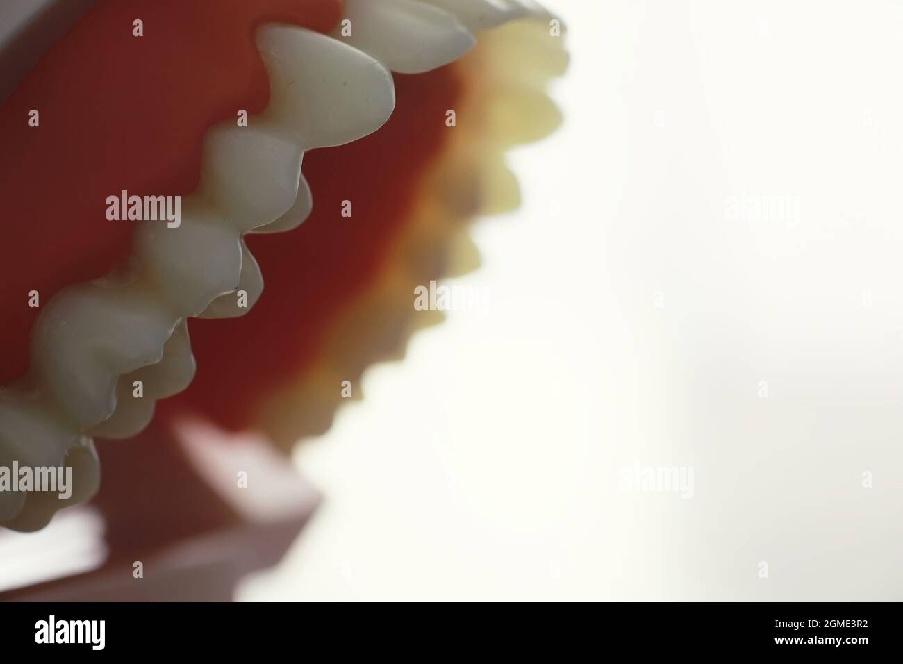 Dentist's office. Dentist examines the oral cavity treatment. The ...