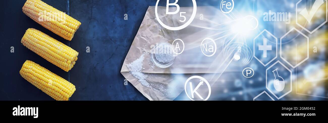 Freshly made fragrant ear of corn with salt. Farm snack fresh corn ...