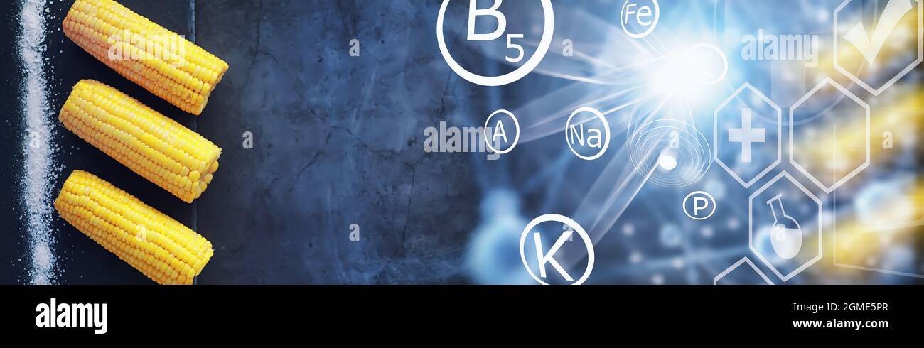 Freshly made fragrant ear of corn with salt. Farm snack fresh corn ...