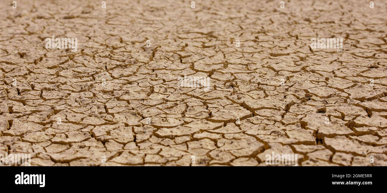 Mud texture hi-res stock photography and images - Alamy
