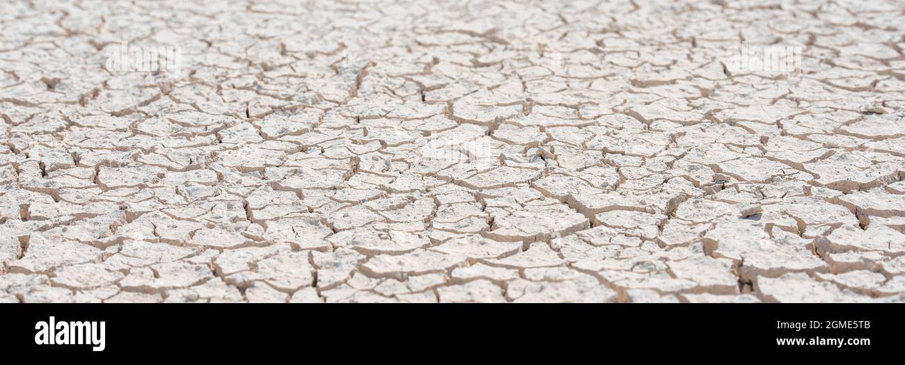 White soil hi-res stock photography and images - Alamy