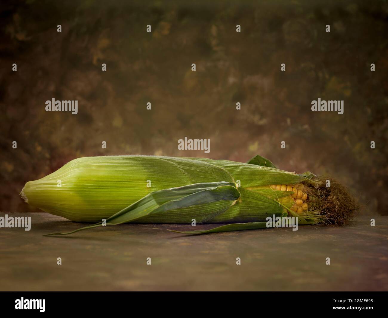 Sweetcorn (Maize) cob natural foodstuff still-life portrait Stock Photo ...