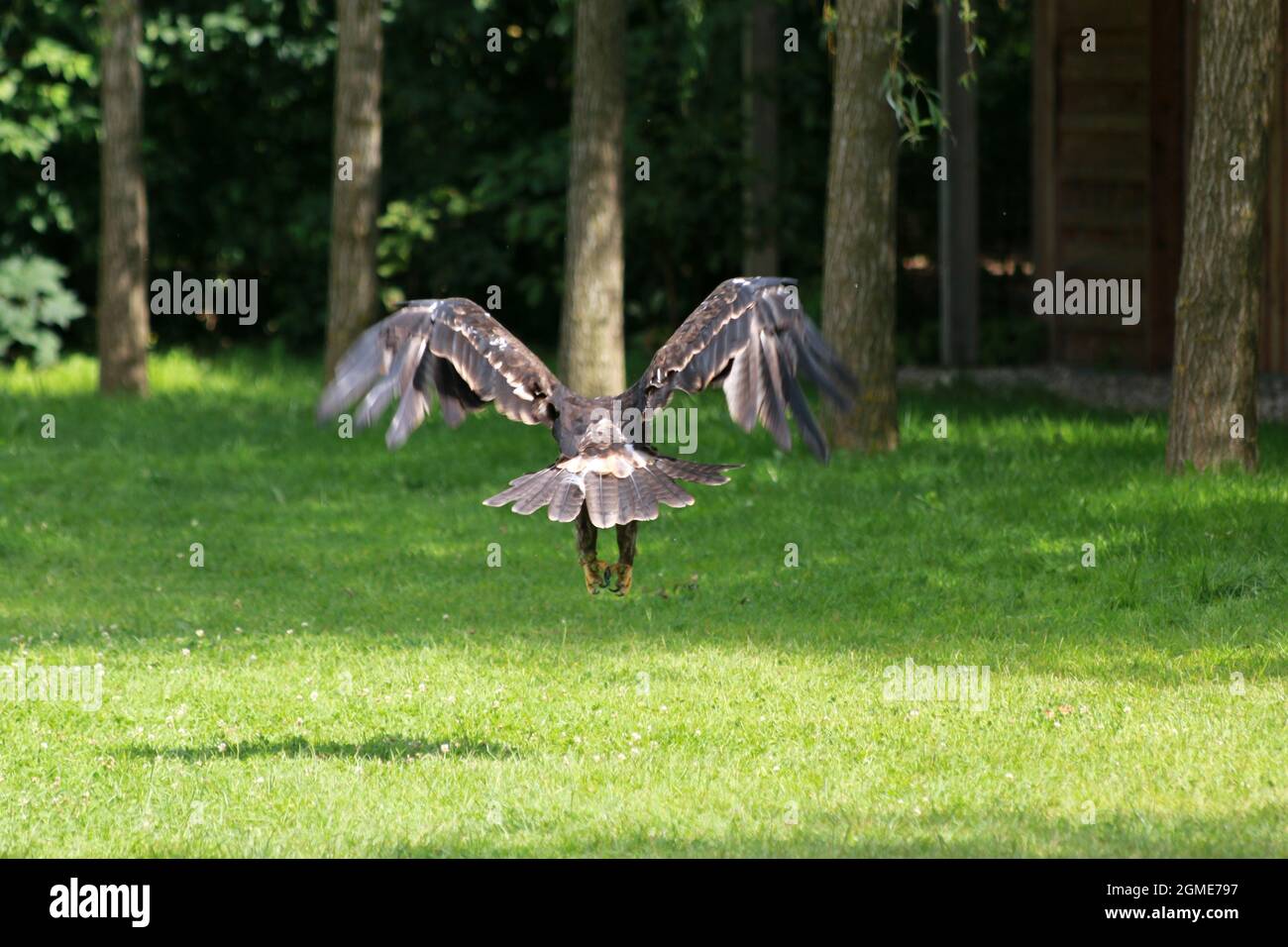 View poing hi-res stock photography and images - Alamy