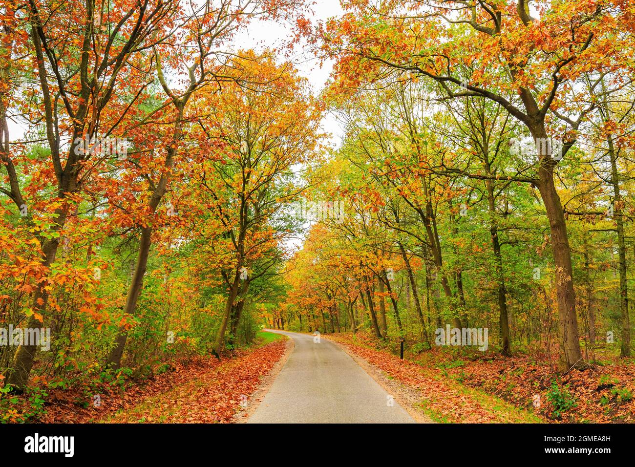 Daylight daylight scenery and scenic scenery hi-res stock photography ...