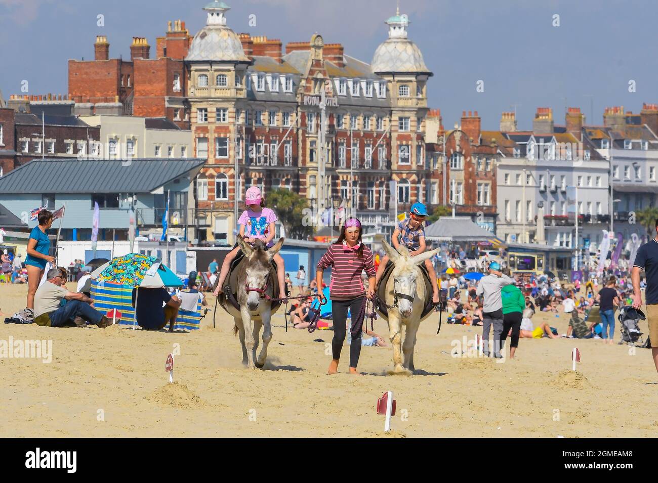 Weymouth donkey hi-res stock photography and images - Alamy