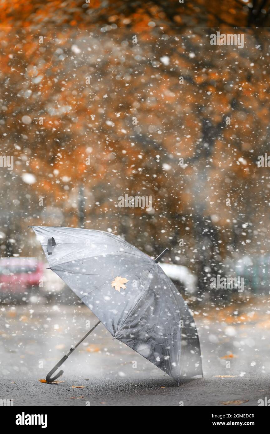 Autumn park in the days of the first snow Stock Photo - Alamy