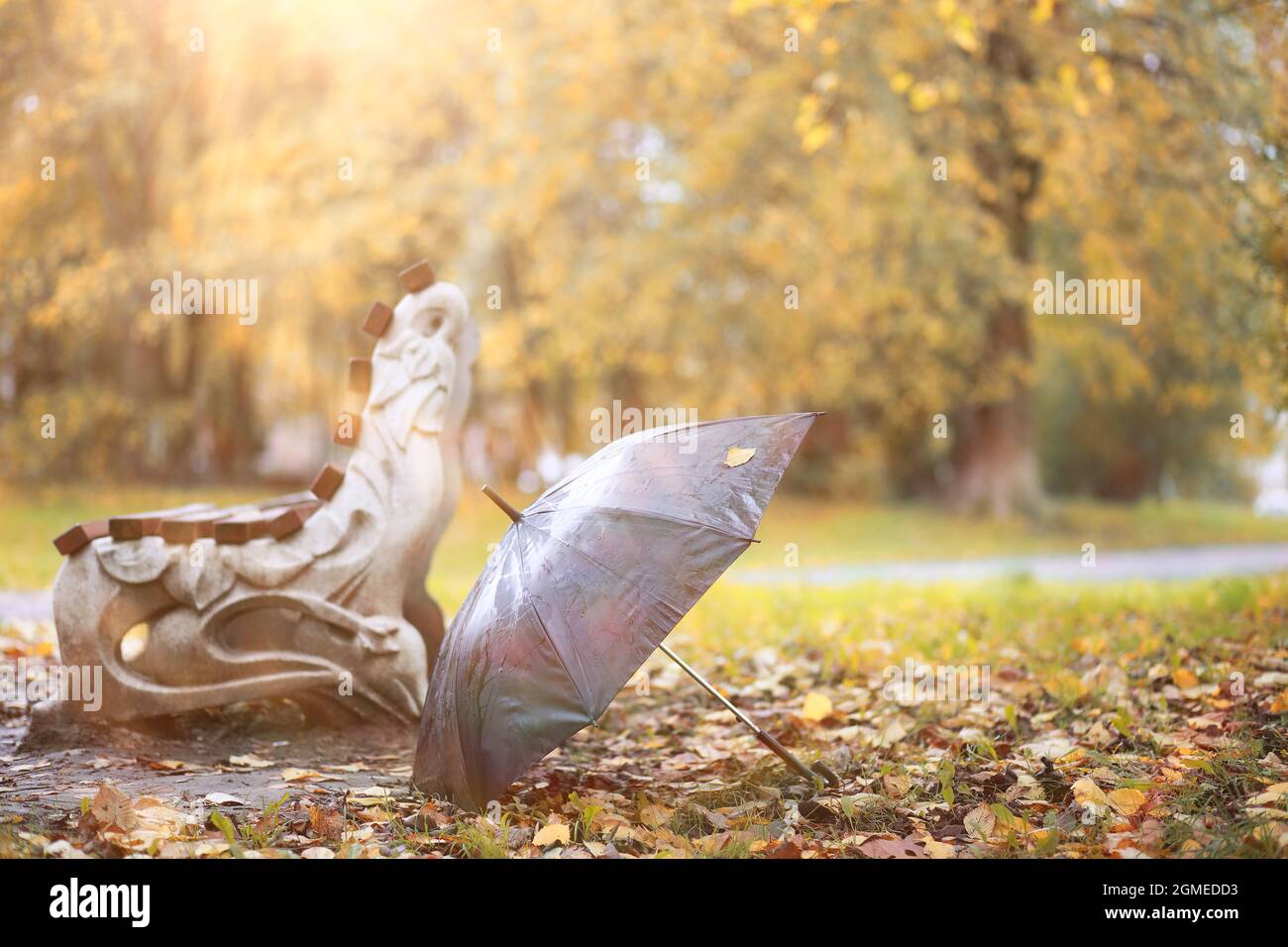 Autumn rain in the park during the day Stock Photo - Alamy