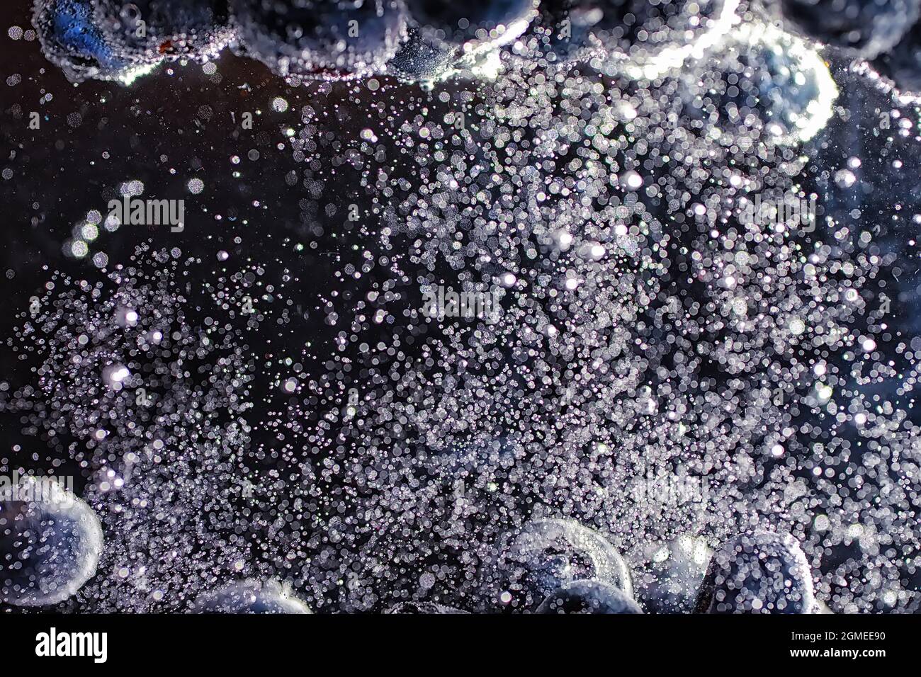 Water drops on ripe sweet blueberry. Fresh blueberries background with ...