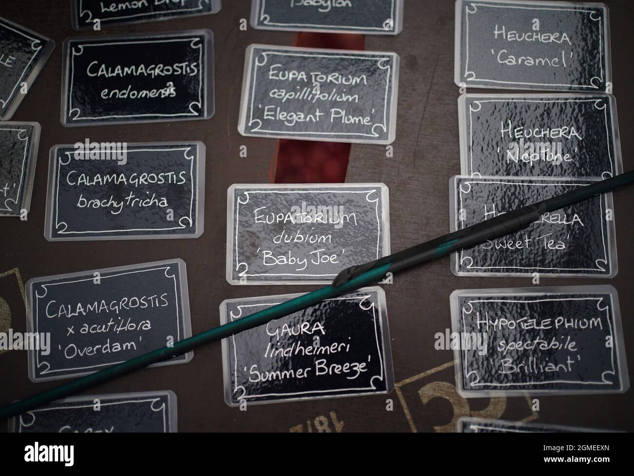 Plant labels waiting to be assigned, during a build day ahead of the ...