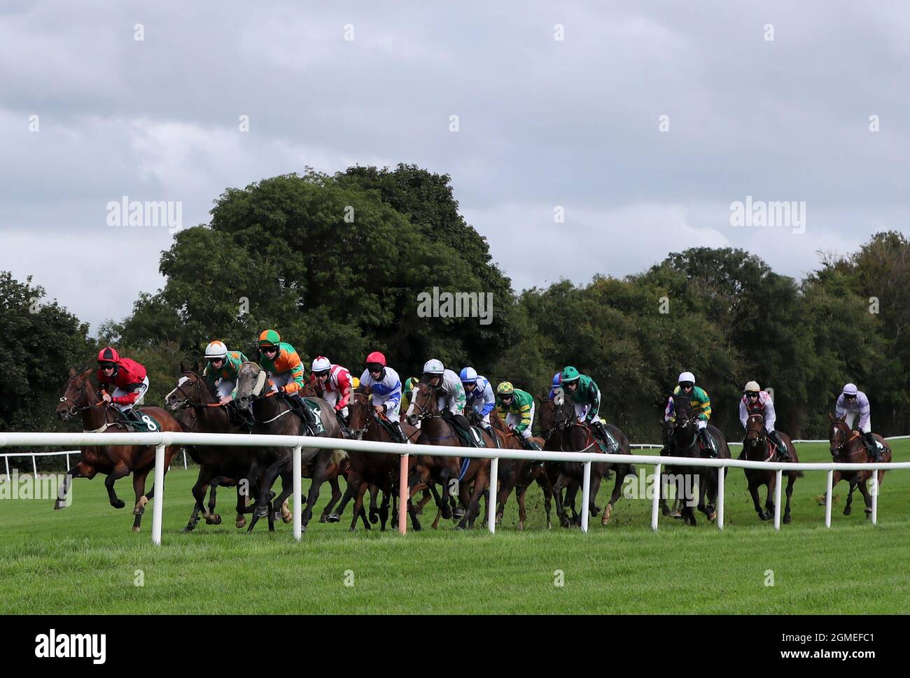 Horse racing navan racecourse hi-res stock photography and images - Alamy