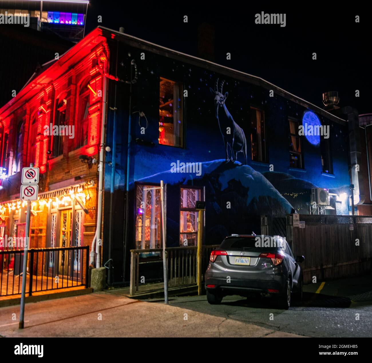 stubborn goat at night Stock Photo - Alamy