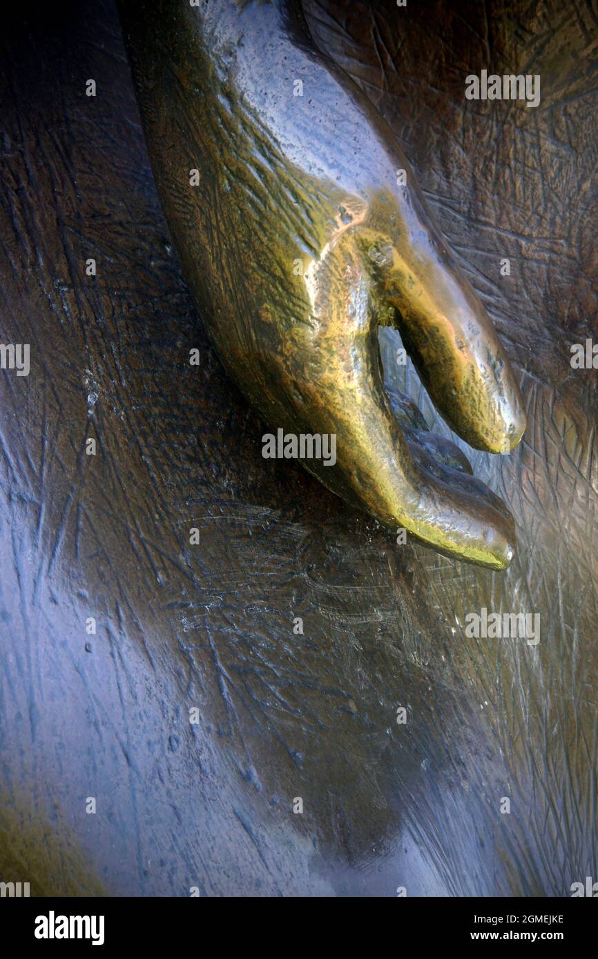 Body parts hand thumb hi-res stock photography and images - Alamy