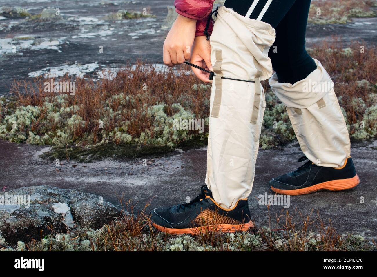 Trekker try to tie and knot a rope of anti-leech socks Stock Photo - Alamy
