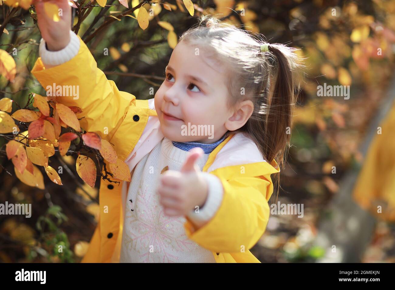 Children walk in the autumn park in the fall Stock Photo - Alamy