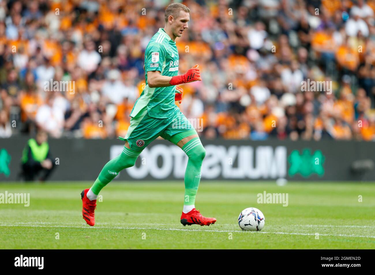 Robin olsen hi-res stock photography and images - Alamy