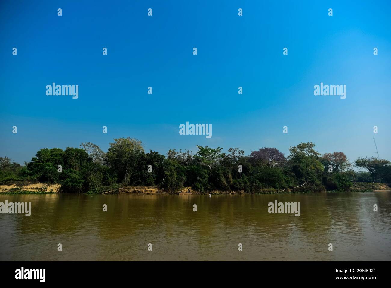 Cuiabá river landscape, Pantanal Forest , Mato grosso, Brazil Stock ...