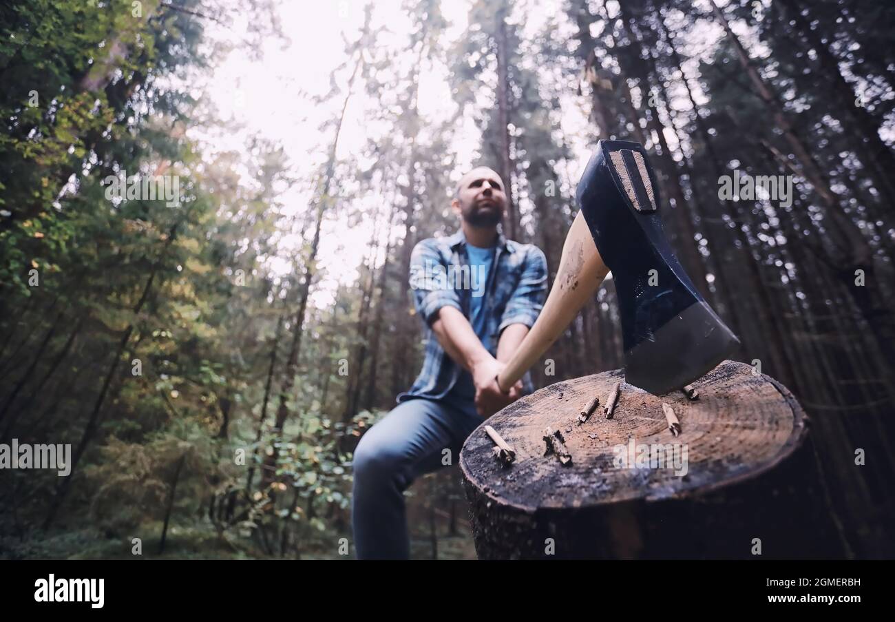 Male lumberjack in the forest. Professional woodcutter inspects trees ...