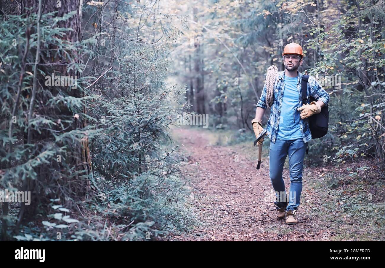 Male lumberjack in the forest. Professional woodcutter inspects trees ...