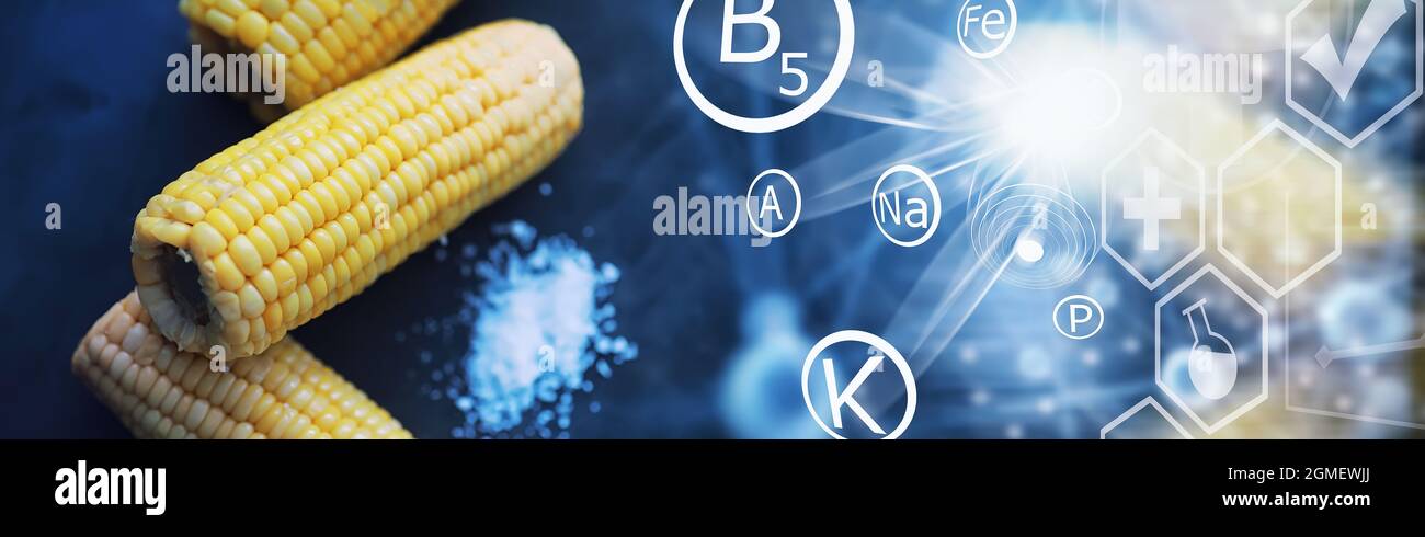 Freshly made fragrant ear of corn with salt. Farm snack fresh corn ...