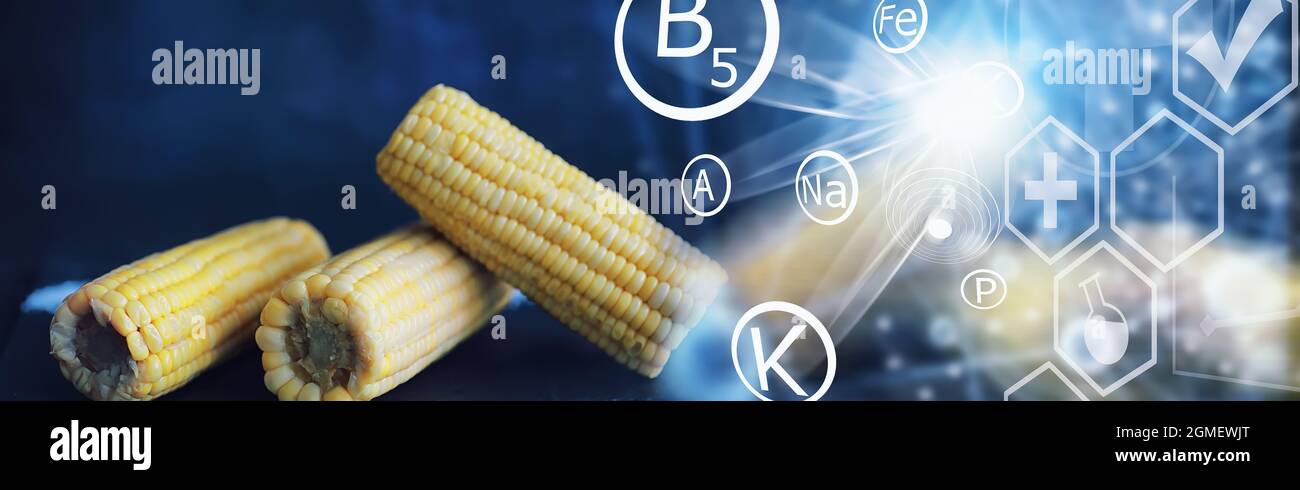 Freshly made fragrant ear of corn with salt. Farm snack fresh corn ...